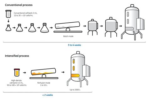 Next Generation Bioprocess Techniques