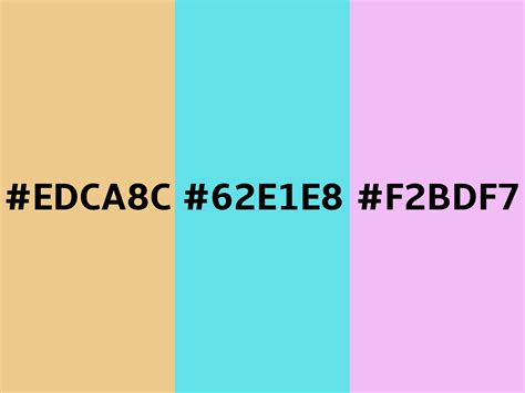 Hex Edca8c Color