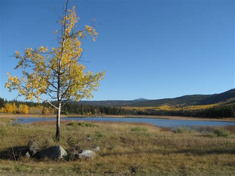 Chilcotin Maps Area Info And Real Estate Wilderness And Ranch Country British