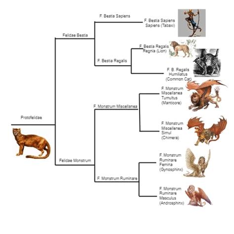 Felidae Taxonomy Tree EdrawMax Templates