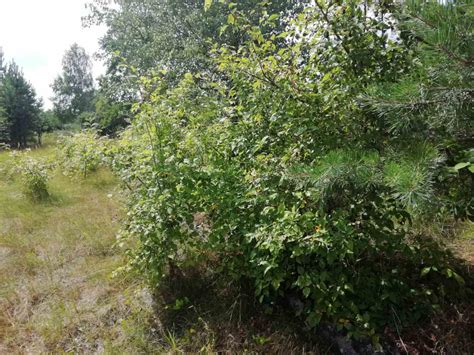 Карта особо охраняемых природных территорий Республики Беларусь Министерство природных