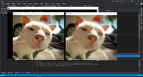 Opencv Bluropencv Blur 有什么用 Csdn博客