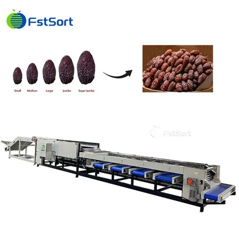 automatic dates sorting system jujube polishing machine jujube
