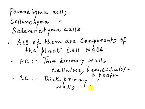 Solved Differentiate Between Parenchyma Collenchyma And Sclerenchyma On The Basis Of Their