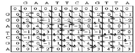 The Completed Score Matrix Download Scientific Diagram