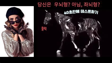 나는 우뇌형 인가 좌뇌형인가 테스트하기 두뇌테스트 Youtube