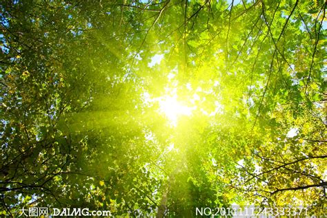 阳光线图片 电线图片 阳光图片 大山谷图库
