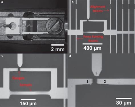 Mems Device For In Situ Tem Straining A Optical Micrograph Of A