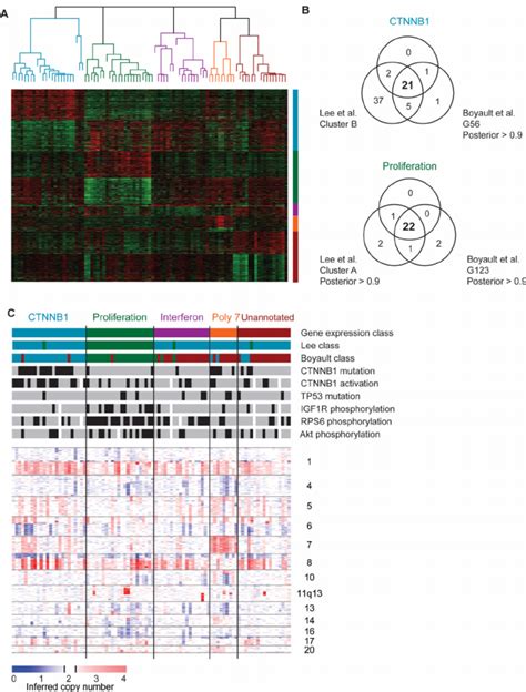Integrated Classification Of Genomic And Molecular Alterations In