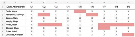 Automatically Resize Columns And Rows Autofit Column Width Row Height
