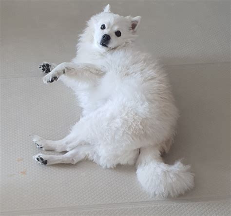 스파르타 코딩클럽 4주차 개발일지