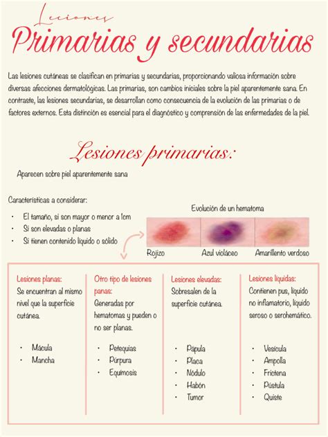 Lesiones Primarias Y Secundarias De La Piel 2 Pdf Piel Curación