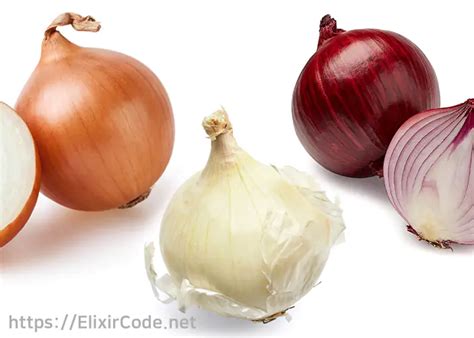 흰양파와 자색양파의 케르세틴 함량과 최대한 잘 섭취하는 요령 Elixir Code