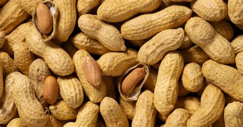 Peanut Allergy Death During Oral Sex News Directory 3