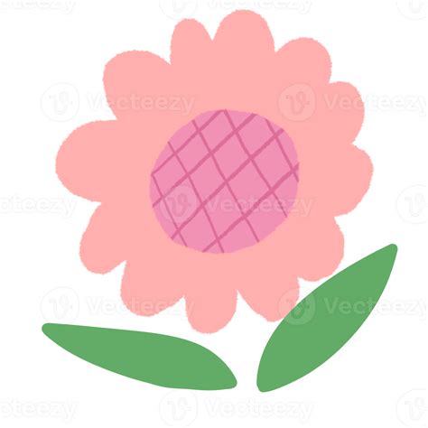 Cute Colorful Flowers 24727984 Png