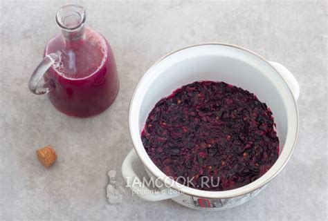 Морс из винограда — рецепт с фото пошагово