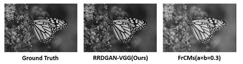 optical remote sensing image denoising and super resolution