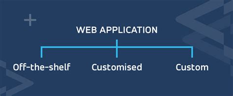 what is custom web application development neurosys