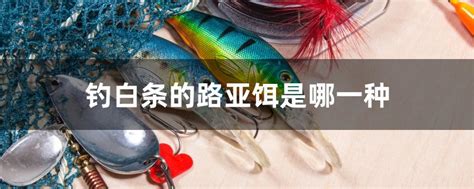 钓白条的路亚饵是哪一种 鱼百科