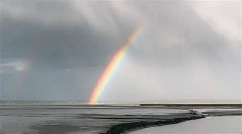 Whats The Difference Between A Php Program And Iop Treatment