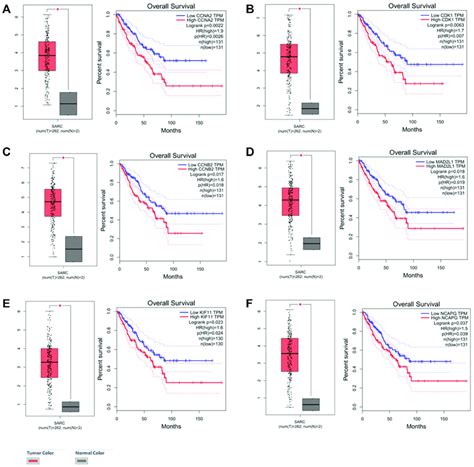 The Expression Of Six Hub Genes In Sarc Compared With Normal Tissue