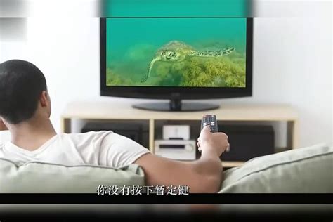 科学界的有趣假设：如果别人的时间停止，只有你正常，你想做什么