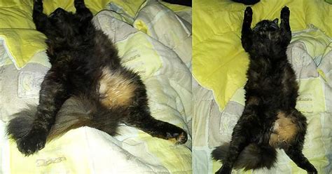Zzzzzzzzzzzzzzz Imgur