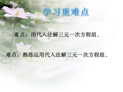 三元一次方程组的解法2 pptx