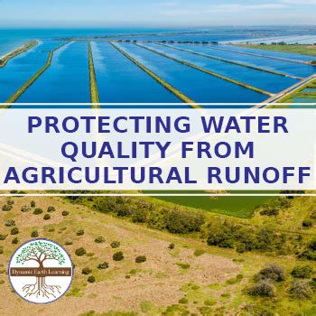 What Is Agricultural Runoff Ag Science Worksheet Google PDF