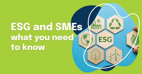 Esg And Smes What You Need To Know