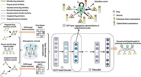 Predicting Human Microbe Drug Associations Via Graph Convolutional Network With Conditional