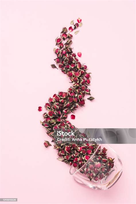 유리 컵과 장미 차로 만든 창조적 인 레이아웃 파스텔 핑크 배경에 붓는 말린 허브 티 0명에 대한 스톡 사진 및 기타 이미지 0명 개념 건강한 식생활 Istock