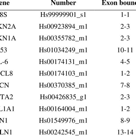 Primers And Probes With Designated Exon Boundaries Download Scientific Diagram