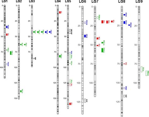 Genomic Locations Of Qtl Detected In Composite Interval Mapping Cim