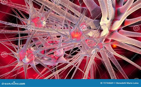 Neuronales Netz Stockbild Bild Von Dendrit Glühen Zusammenwirken 72744669
