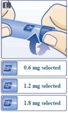 Victoza Package Insert Prescribing Information