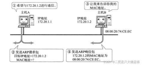 数据链路层以太网 ARP协议