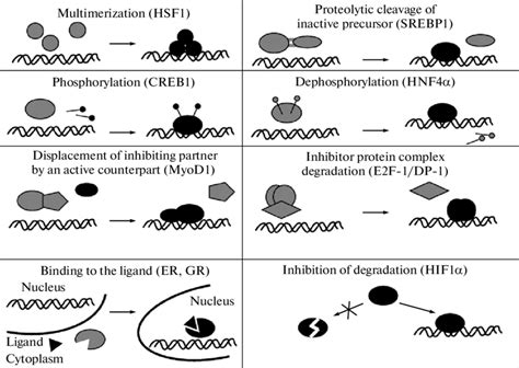 General Transcription Factors