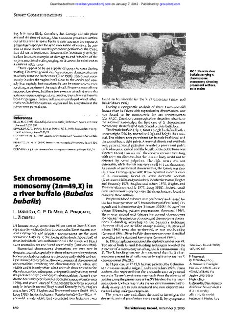 Pdf Sex Chromosome Monosomy 2n 49 X In A River Buffalo Bubalus Bubalis