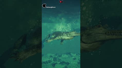 Prehistoric Crocodile Vs Megalodon