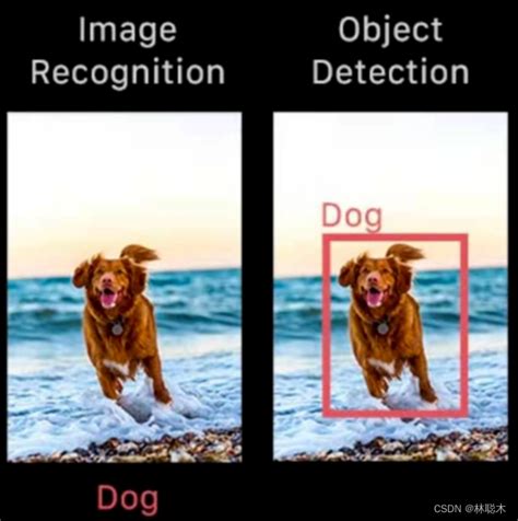 图像处理算法实战应用案例精讲 【目标检测】yolo附python代码实现python深度学习实现目标检测和图像分割实例分析 Csdn博客