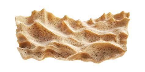 Porous Bone Structure Illustration Detailed Representation Of Human Bone Texture And Density