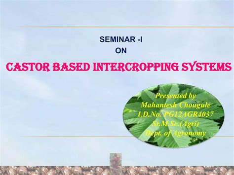Castor Based Intercropping Systems Pptx