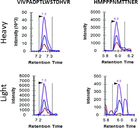 Detection Of Erg Protein In The Vcap Lncap System Xics Of The Two Erg Download Scientific