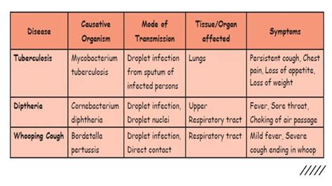 Airborne Diseases Pptx Cold And Flu Diseases And Conditions