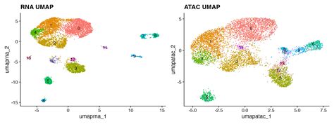 Joint Rna And Atac Analysis Snare Seq • Signac