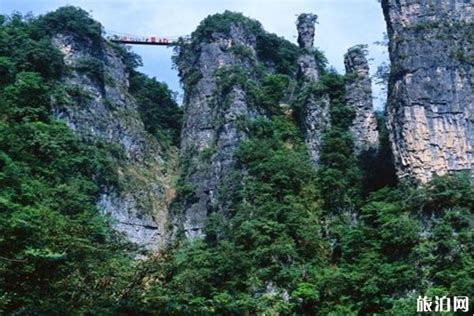 2022柴埠溪大峡谷游玩攻略 门票价格 交通 地址 天气 旅泊网