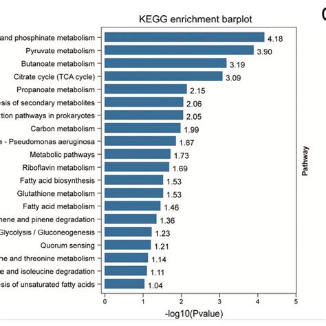The Prediction Of Metabolic Function Within The Microbiome In The Cce Download Scientific