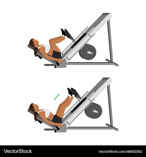 Woman Doing Leg Press Exercise On Machine Flat Vector Image