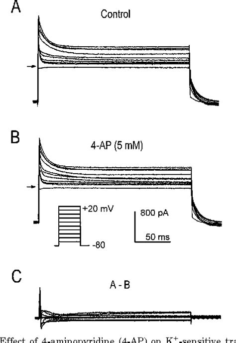 Figure 3 From Existence Of A Transient Outward K Current In Guinea